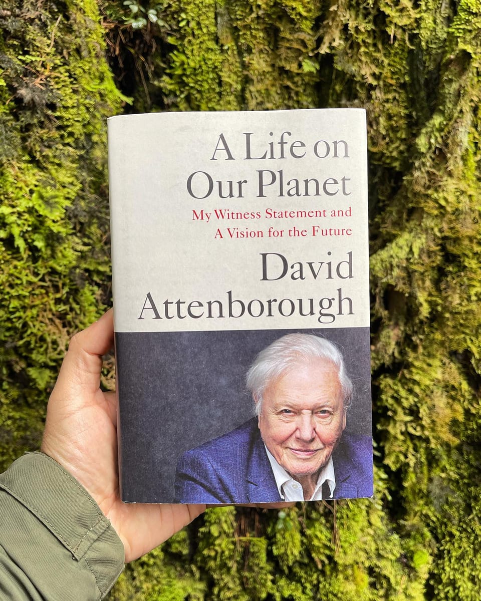 A Life on Our Planet (2020)